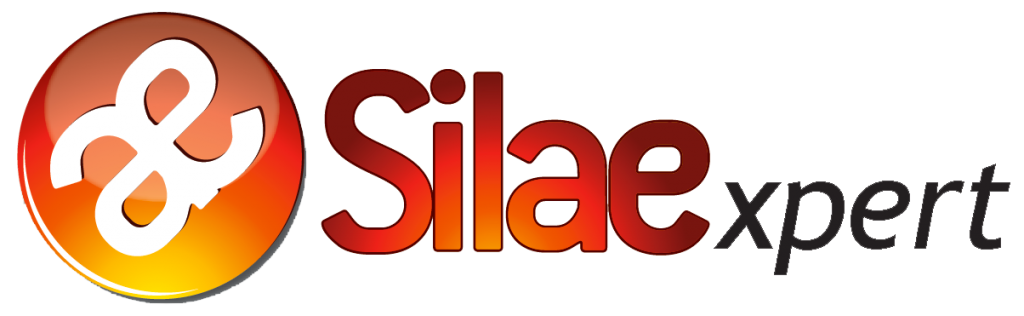 Système d'information RH - Côté paie / Côté RH